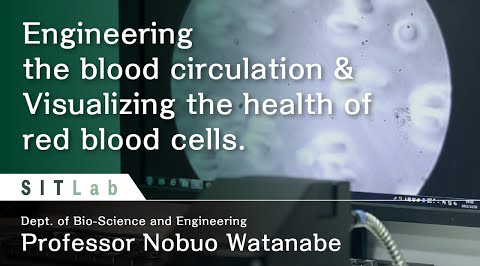 【SIT Lab Vol.26】Engineered blood circulation. Visualize the health of ...